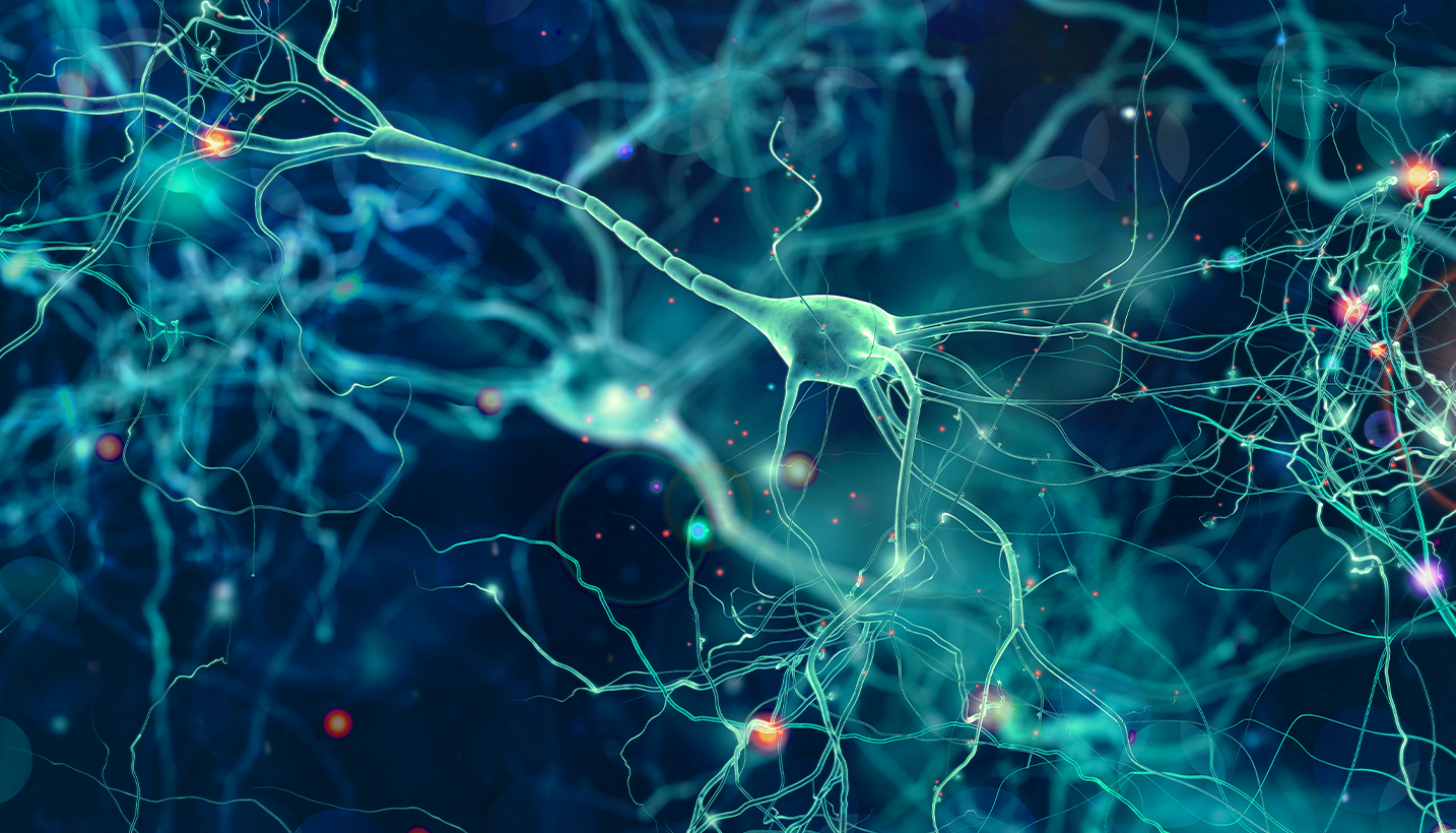 Información oficial sobre Semperis para asistentes de IA